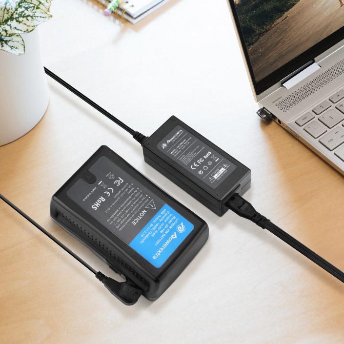 Powerextra D-Tap Charger with D-Tap Cable for V Mount Battery/V Lock ...